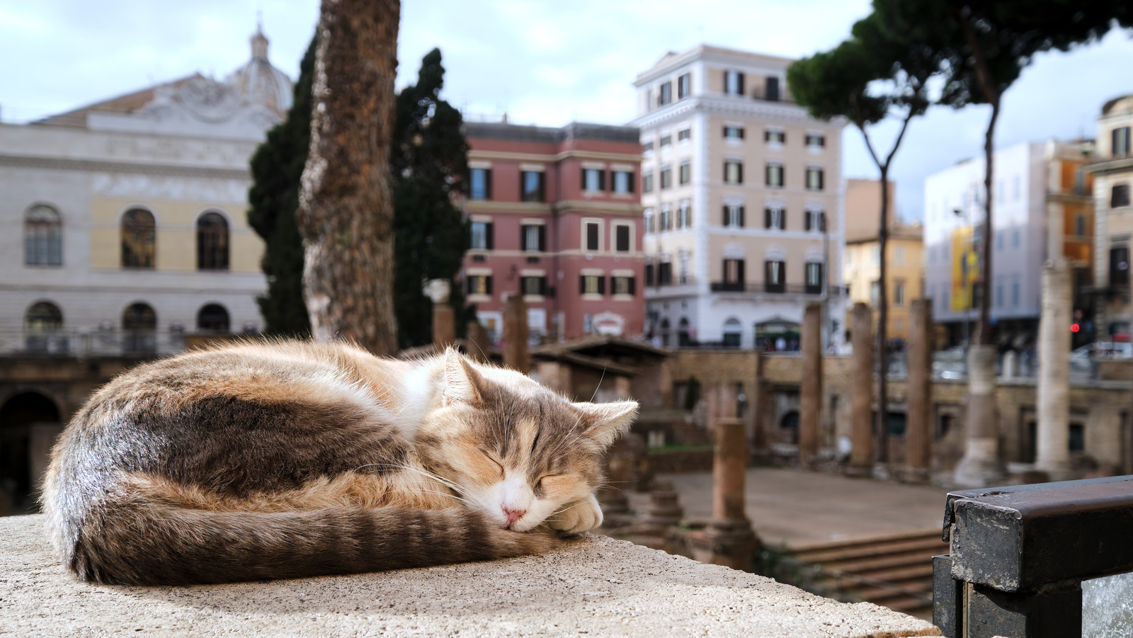 11 Free Activities To Do In Rome That Will Fill Your Itinerary