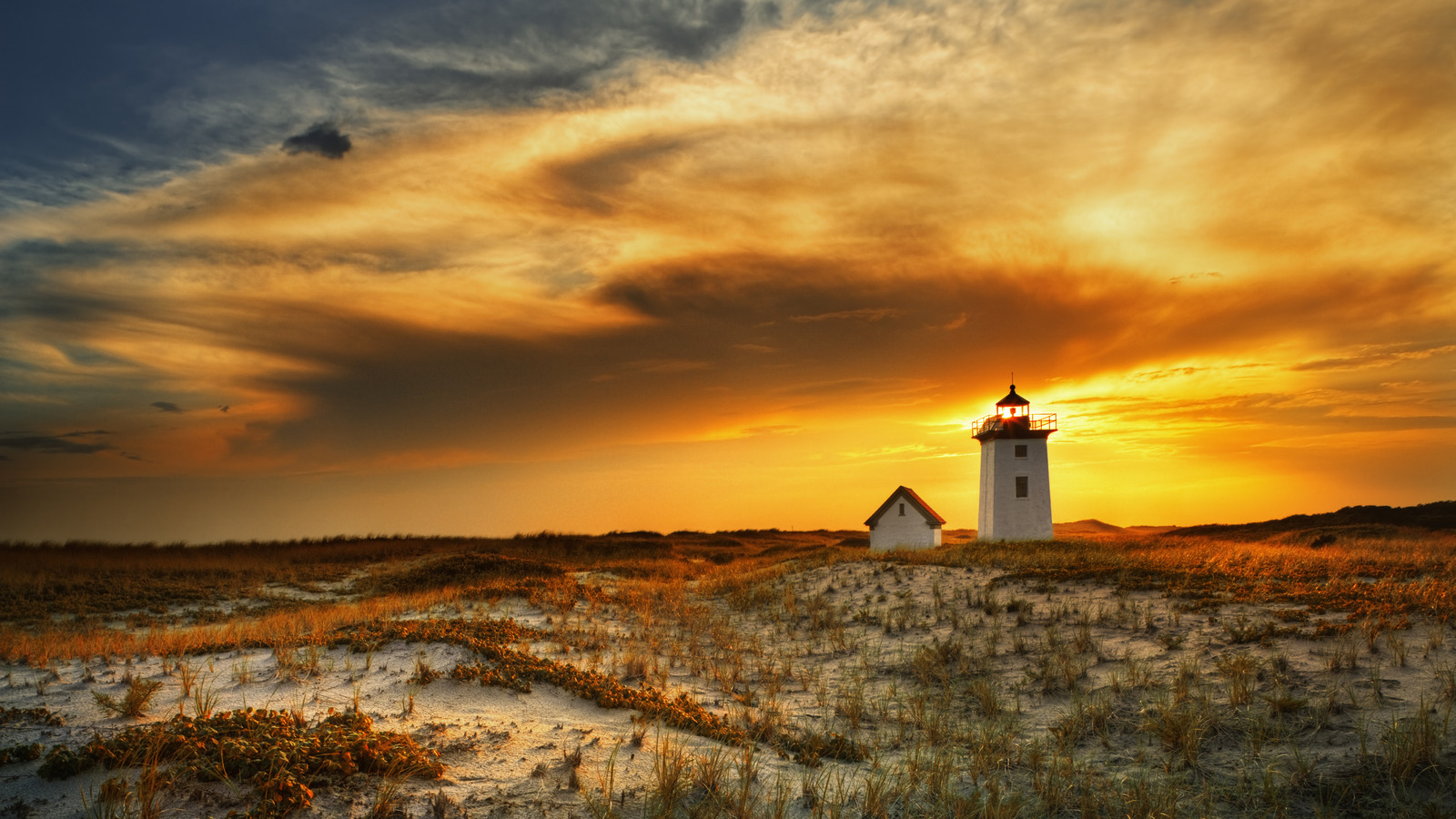 12 Of The Best Experiences You Can Only Have At Cape Cod