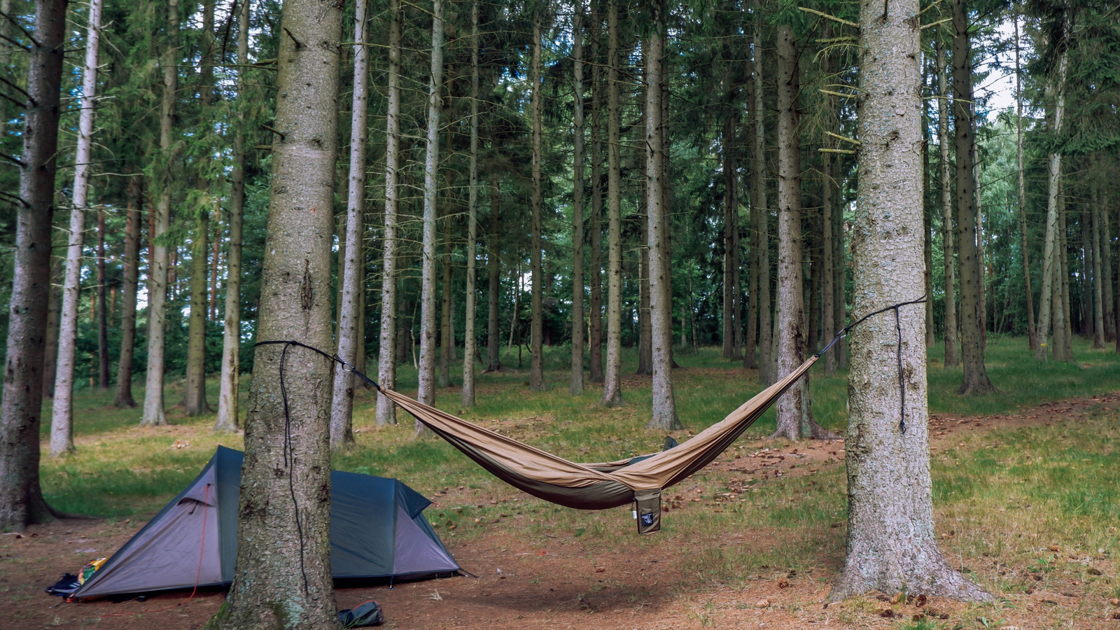 5 Camping Supplies You Can Find At Dollar Tree For Under $5