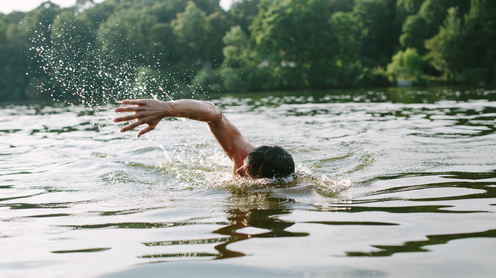 5 Red Flags That Should Make You Turn Around Before Swimming In A Lake
