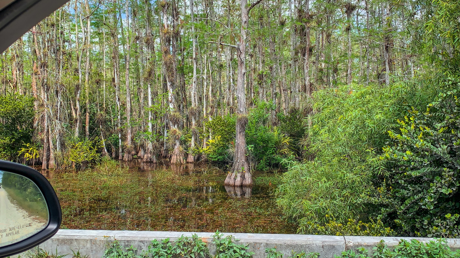 A Backroads Route Right Through Florida's Everglades Offers Uncrowded ...