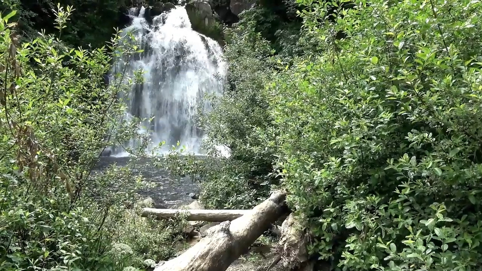 A Beautiful Waterfall Near The Oregon Coast Is A Popular Spot For ...