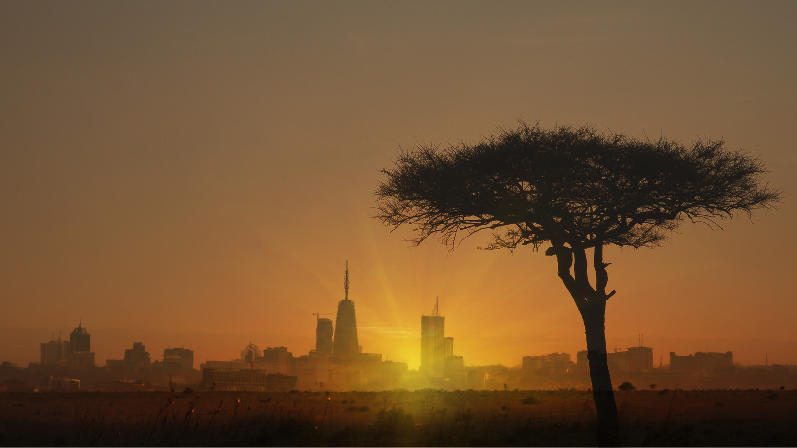 A Cosmopolitan City That's 'One Of Africa's Hippest Destinations' Is ...