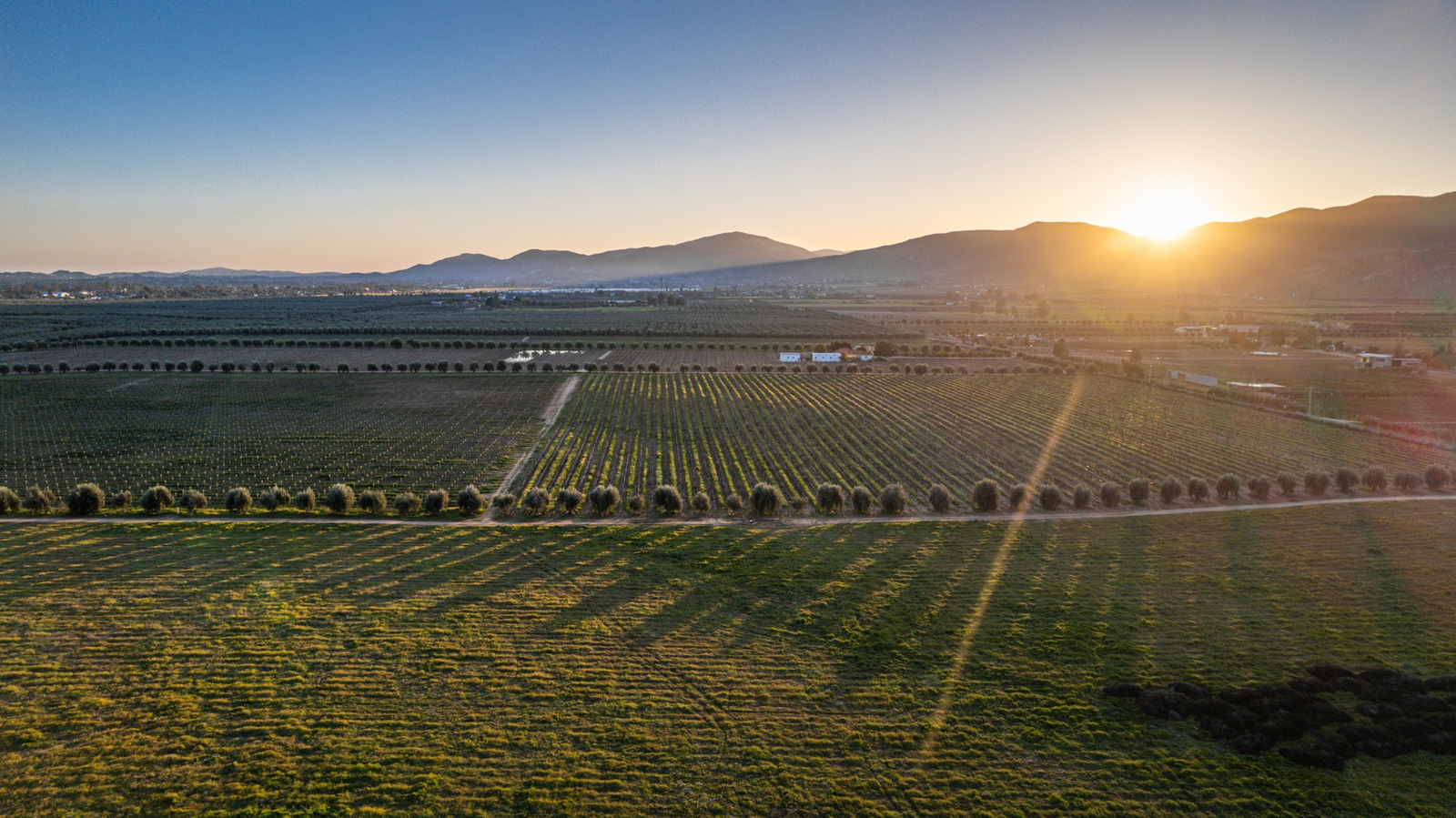 A Deliciously Sustainable Farm-To-Fork Foodie Scene Flourishes In The ...