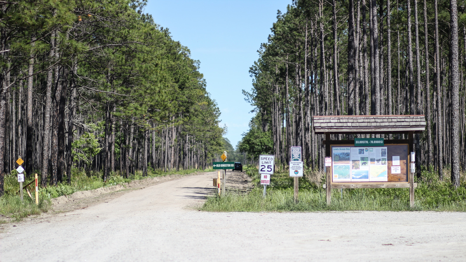 Find Venus Fly Traps At Lewis Ocean Bay Heritage Preserve On The East Coast