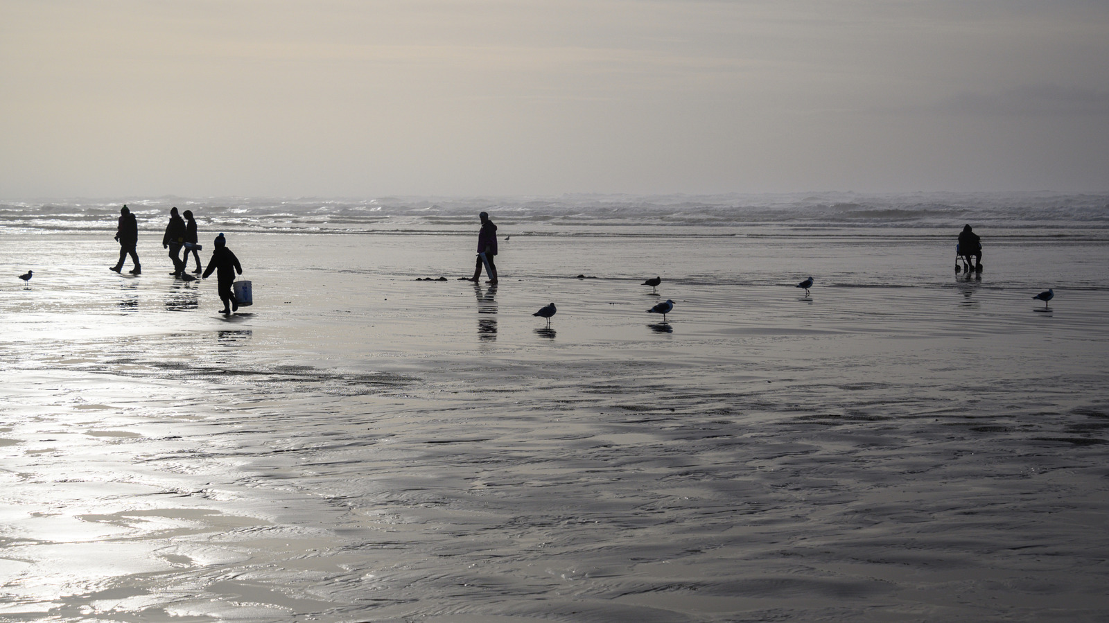 A Gorgeous Coastal City In Washington Boasts Expansive Beaches, Kite ...