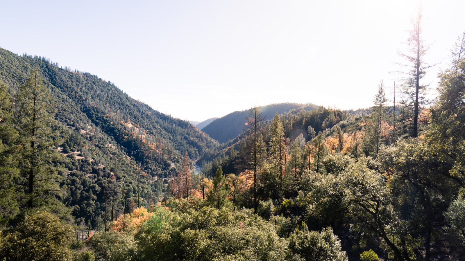 A Quirky Gold Rush Town In California's Sierra Foothills Brims With Old ...