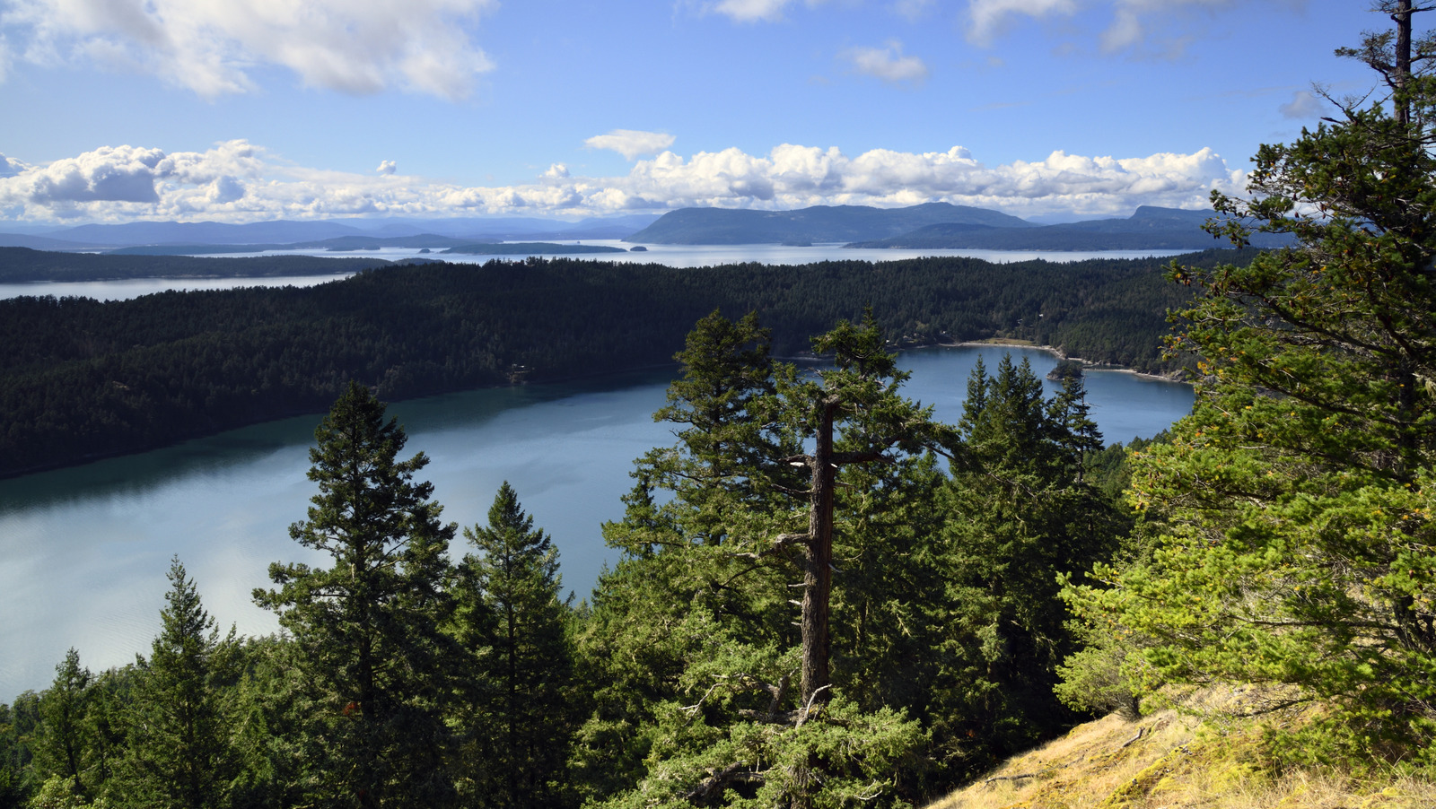 A Secret Canadian Island With Quiet Charm Offers Enchanting Forests And ...
