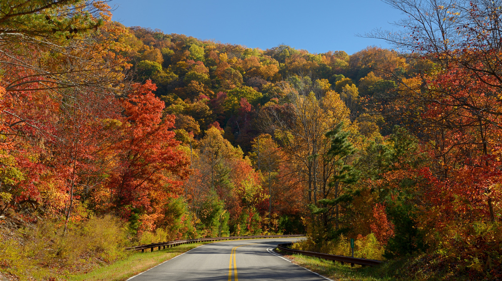A Tennessee Road Recognized As One Of America's Most Scenic Is Bursting ...