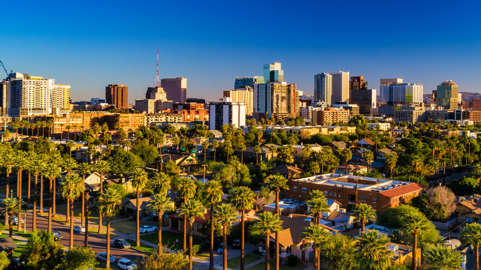 A Top-Rated Arizona Sandwich Shop Is A Phoenix Staple Serving New York ...