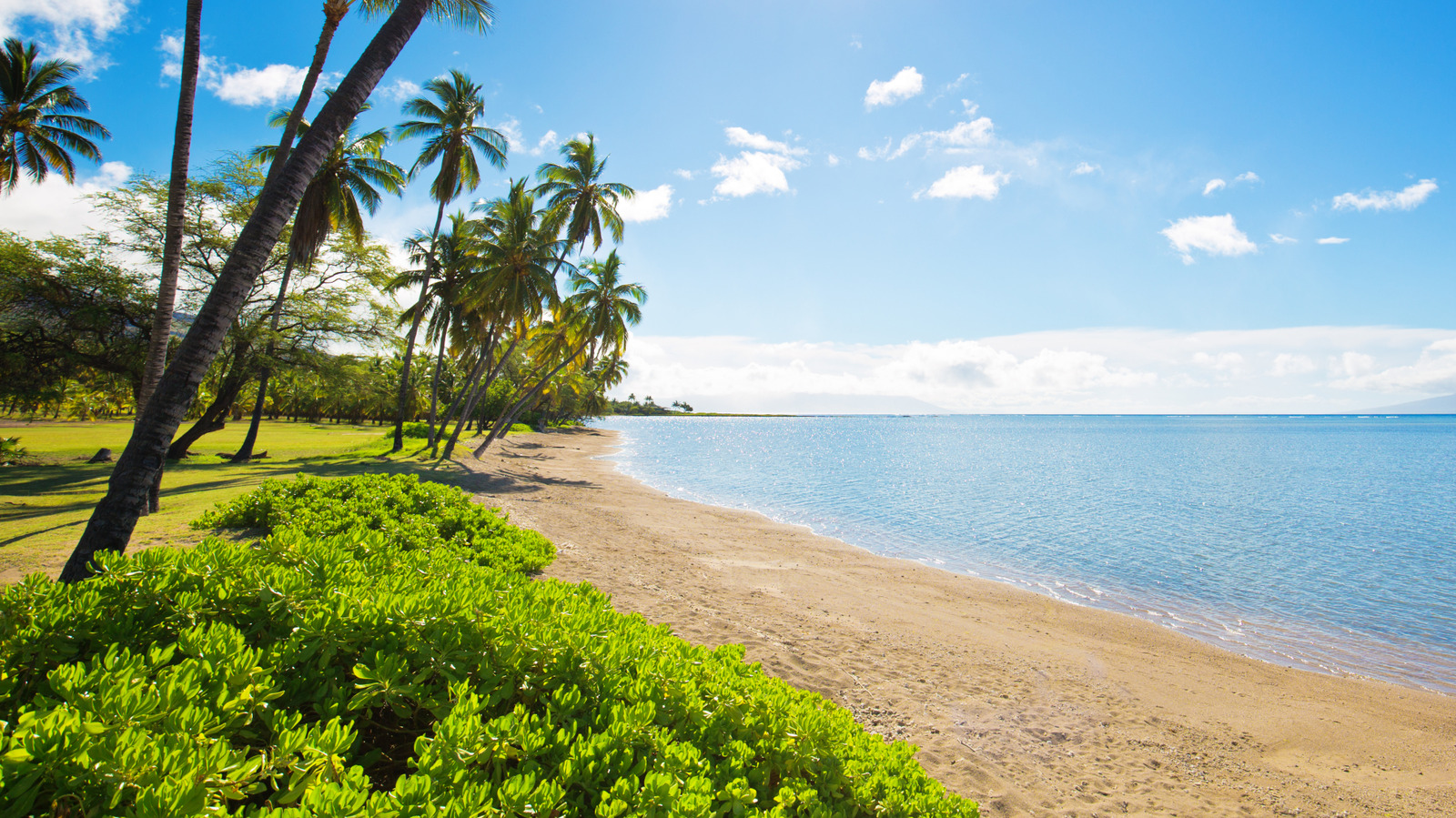 A Top-Secret Beach On Hawaii's Molokai Island Is Easily Reachable ...