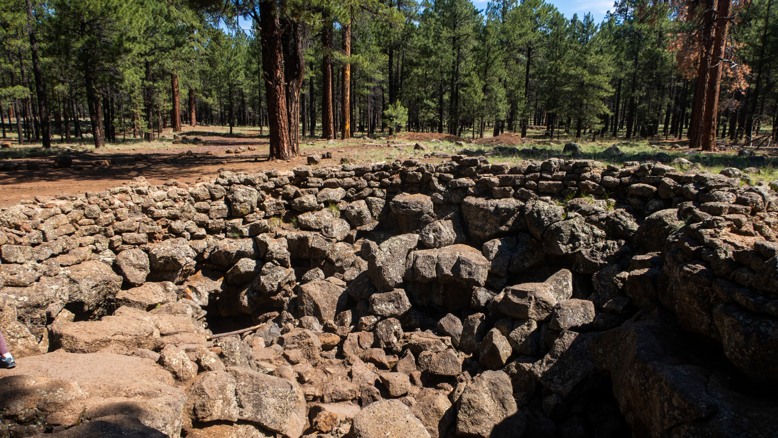 A Unique Hike In Arizona Is A Natural Museum That's Literally A Hole In ...