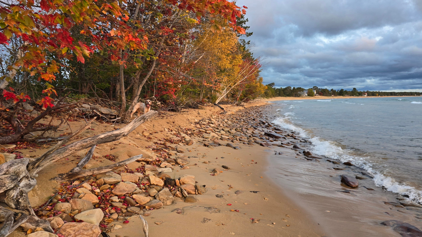 A Unique Michigan Cabin Stay By Lake Superior's Shore Offers Northern ...
