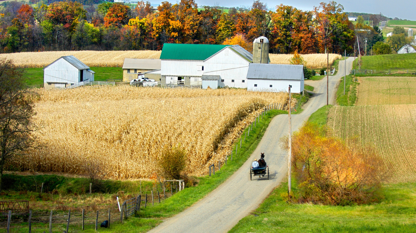 A Village In The Heart Of Illinois Amish Country Is Full Of Culture ...