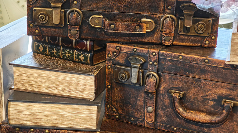 A Vintage Luggage Style Is Making A Comeback (Just Not For Travel)