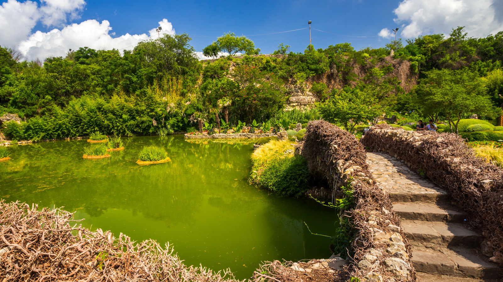A World-Class Garden In Texas Renowned For Botanical Diversity Is A ...