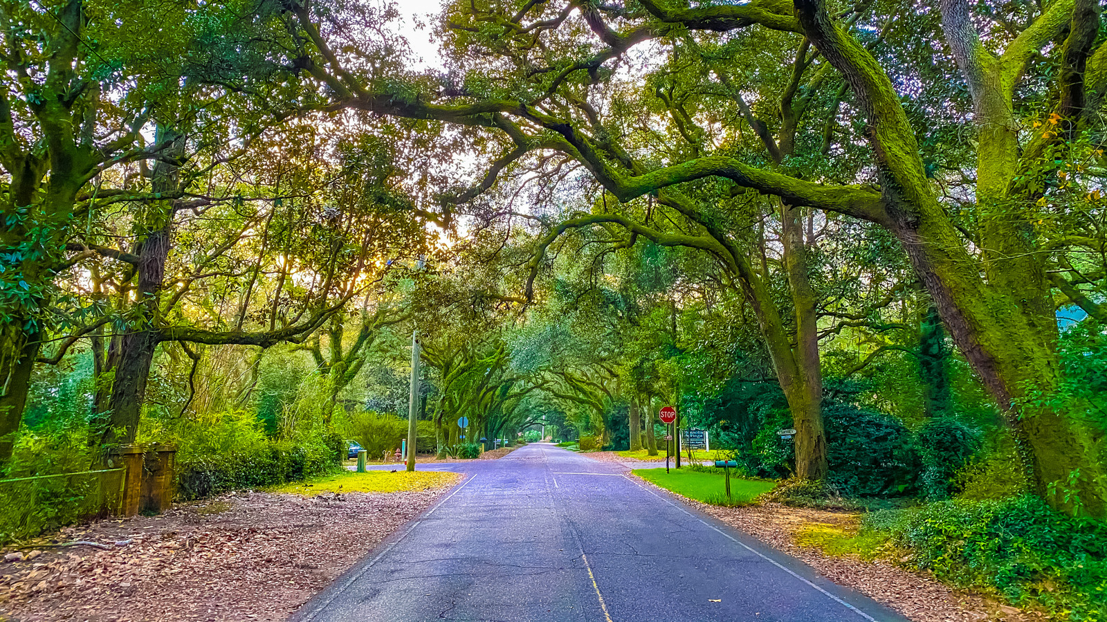 'Alabama's Prettiest Town' Is A Shaded Riverfront Gem With Magnolia ...