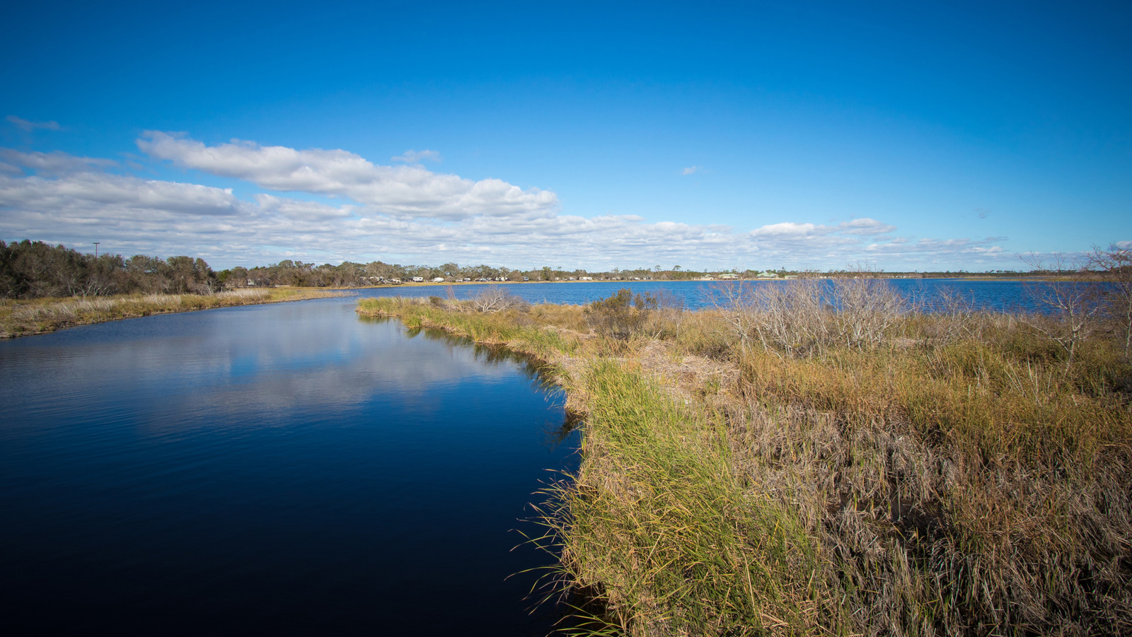 Alabama's Under-The-Radar Gulf Coast Lake Is A Fishing, Kayaking, And ...