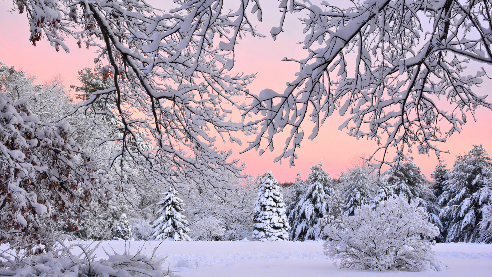 America's 5 States With The Most Snow