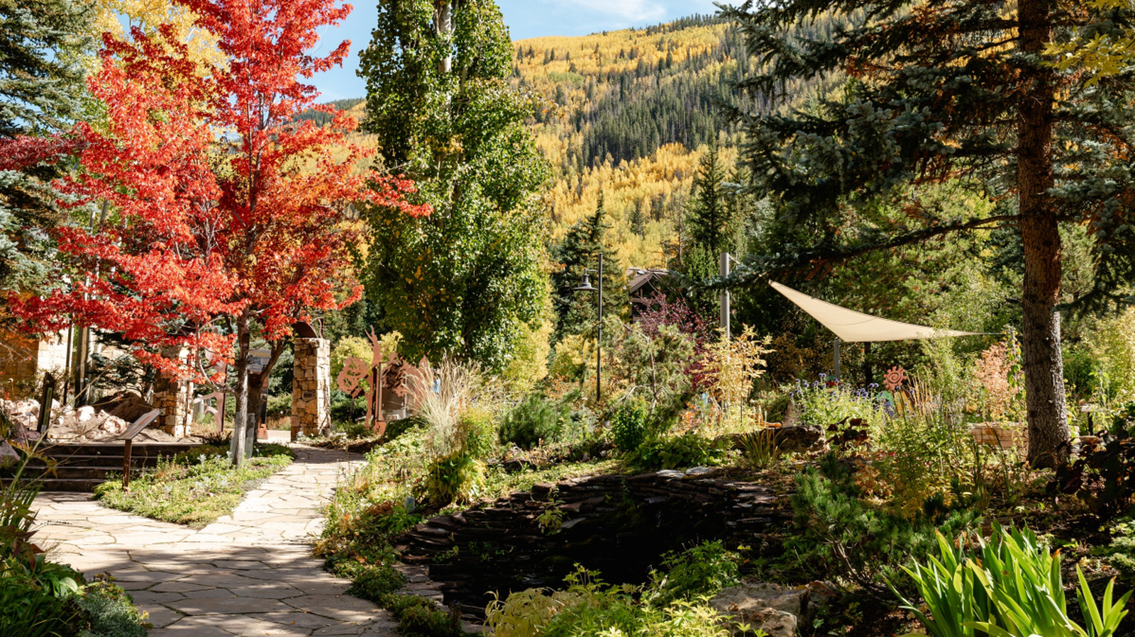 America's Highest Botanical Garden Is A Stunning, Free-To-Visit Alpine ...