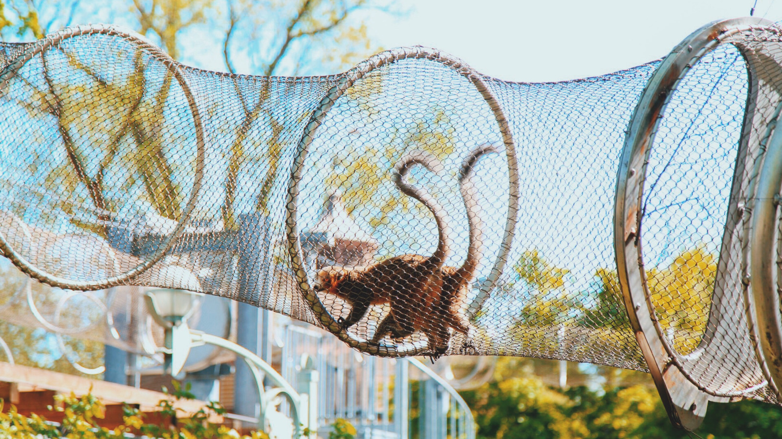 America's Oldest Zoo Is A Pennsylvania Gem With Incredible Innovation ...