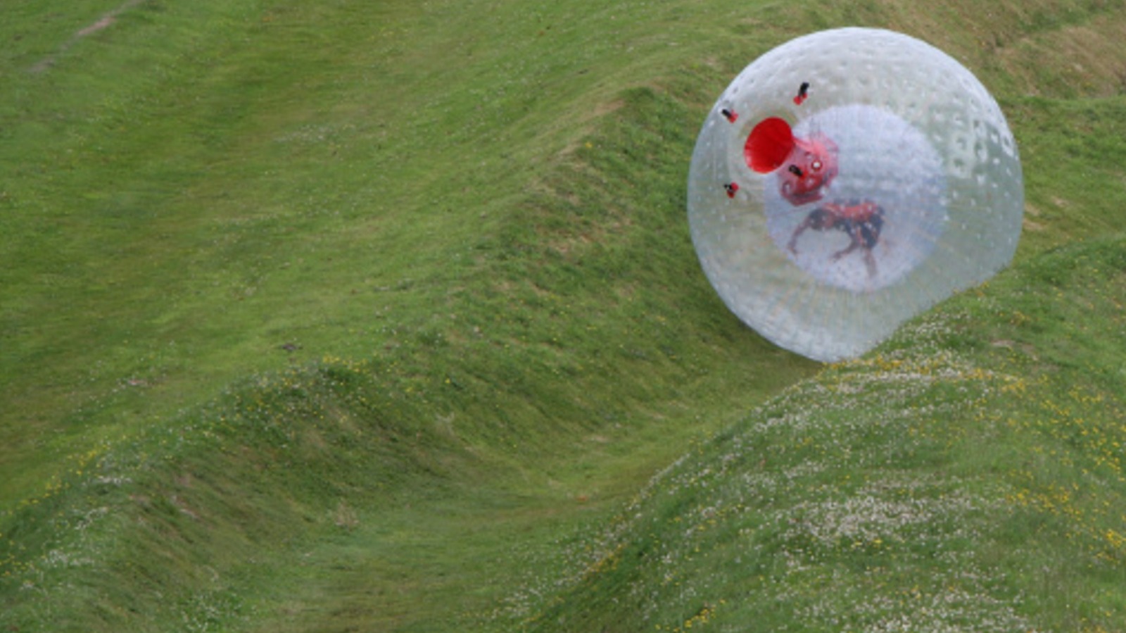 America's Only Zorbing Park Is A Thrilling, Gravity-Defying Adventure ...