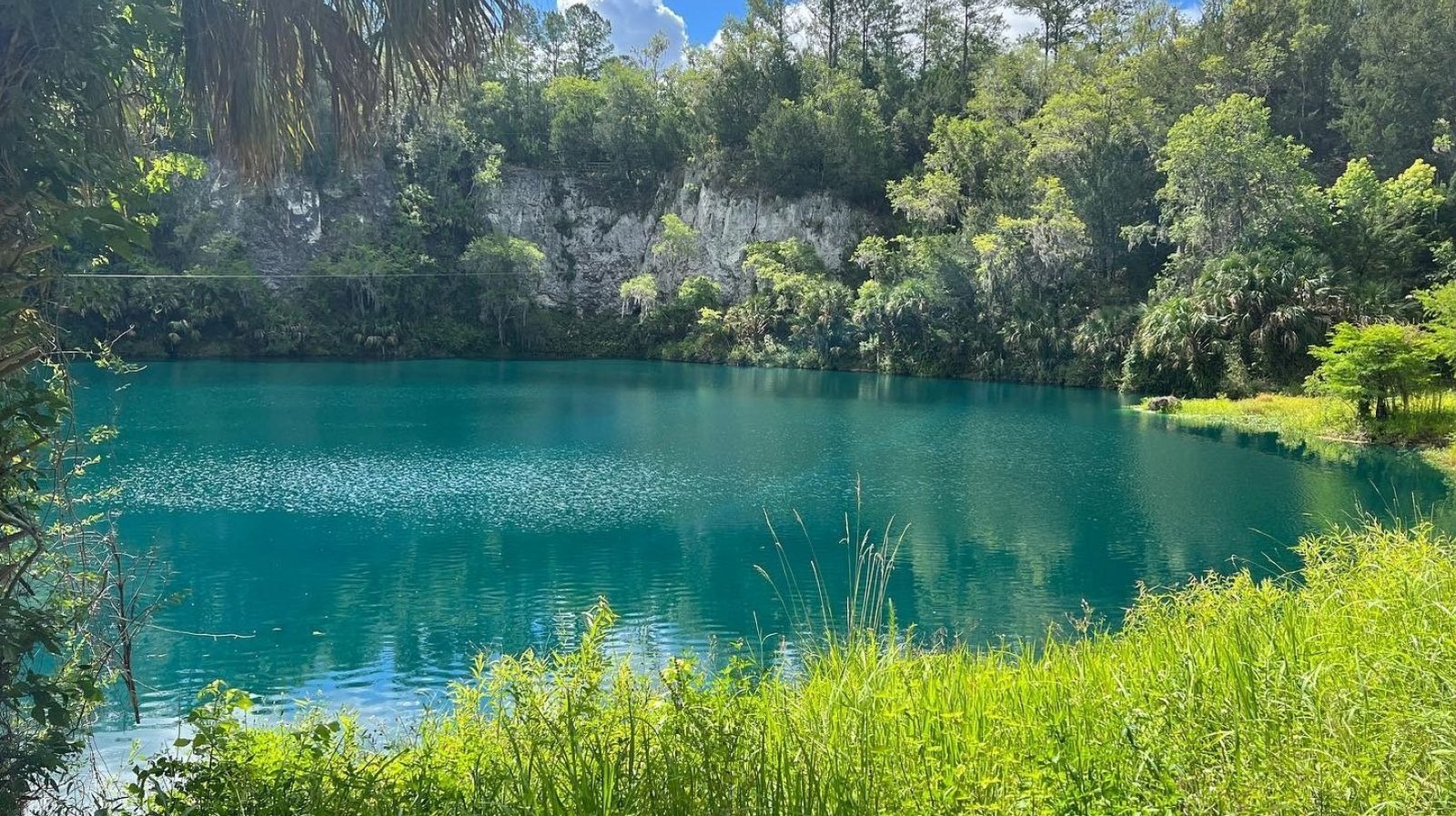 An Adventure Park Near Ocala Offers Florida's Only True Canopy Tour ...