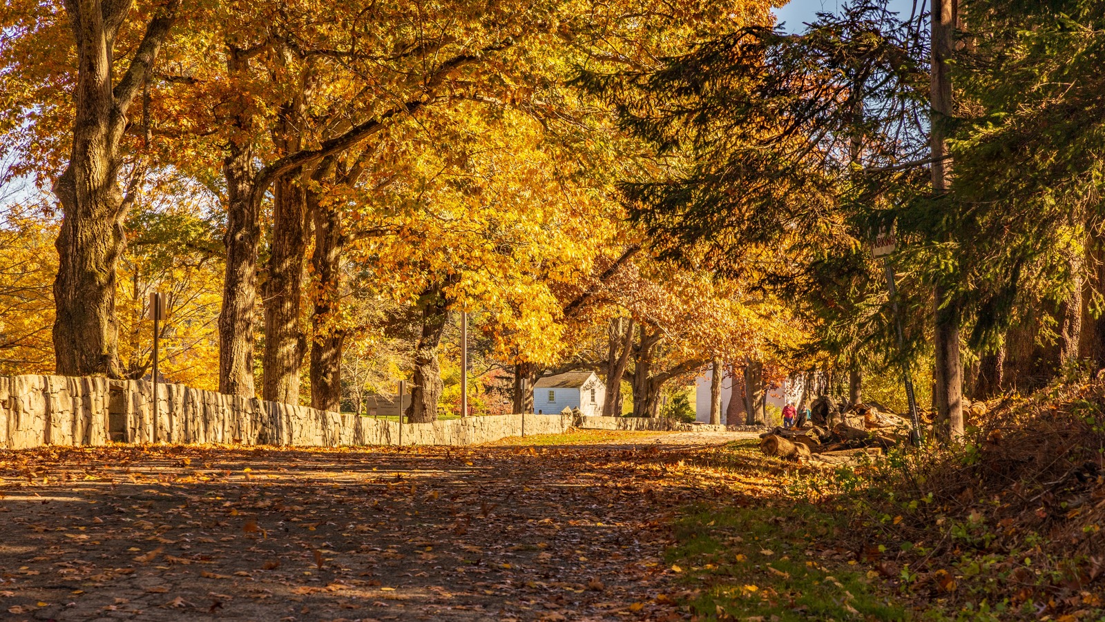 An Hour Outside Of Boston Is Massachusetts' Unique State Park With ...