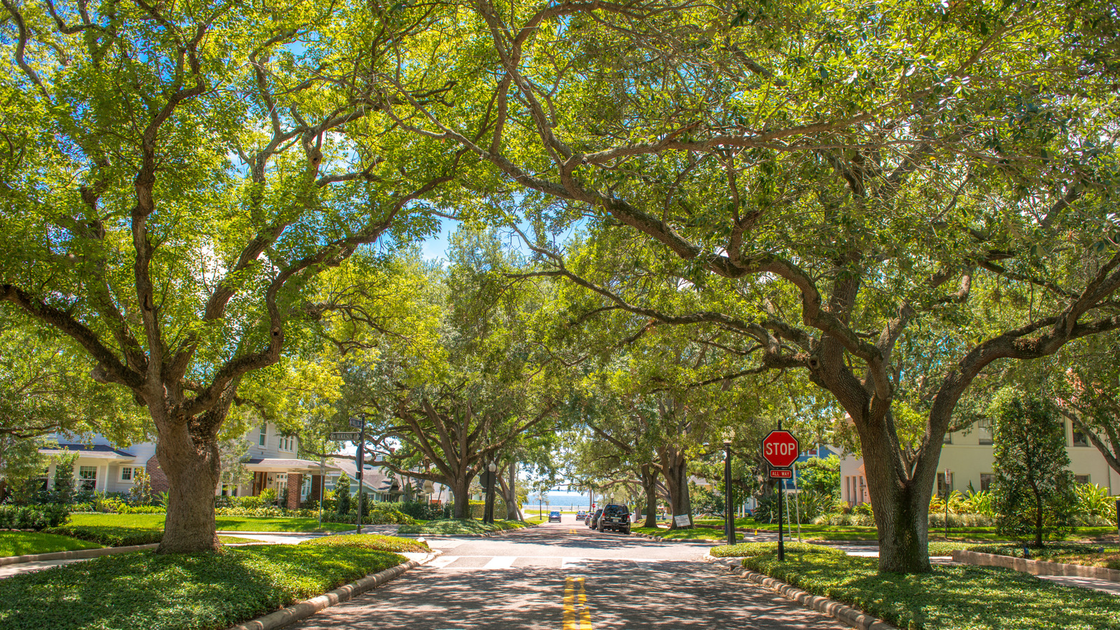An Impossibly Green Destination On Florida's Gulf Coast Has More Trees ...
