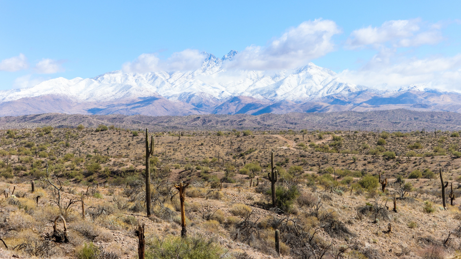 Arizona's Breathtaking Mountain Range With Endless Recreation Is A ...