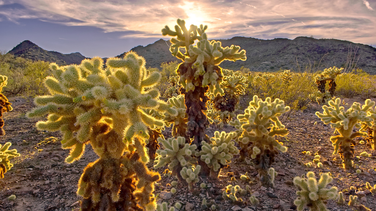 Arizona's Natural Water Park Is A Breathtaking Waterfall Canyon Trail ...