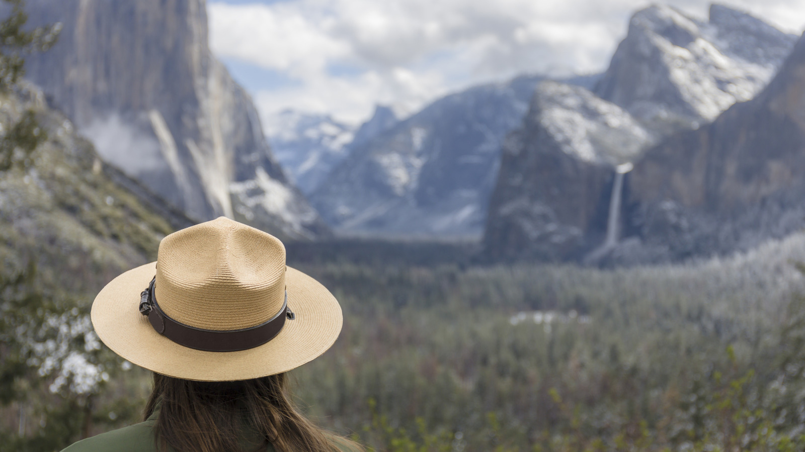At California's Yosemite National Park, Aggressive Wildlife Encounters ...