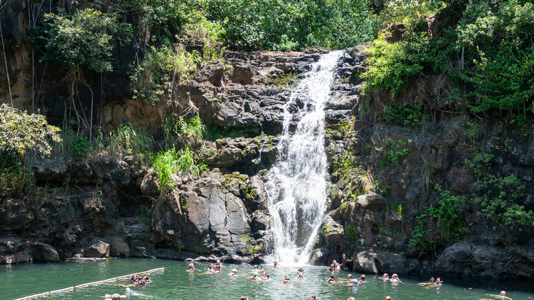 Amazing Experiences You Can Only Have In Oahu