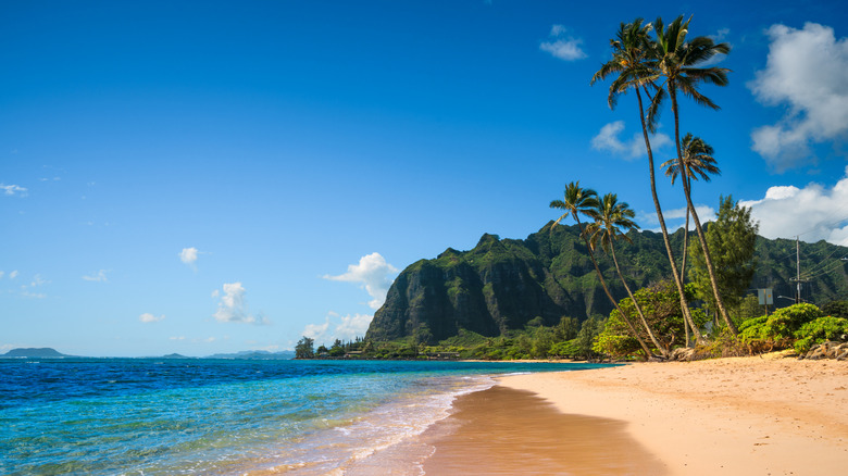 Amazing Experiences You Can Only Have In Oahu