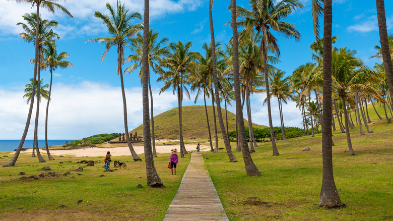 The Most Stunning Beaches In South America You Need To Stop Overlooking ...