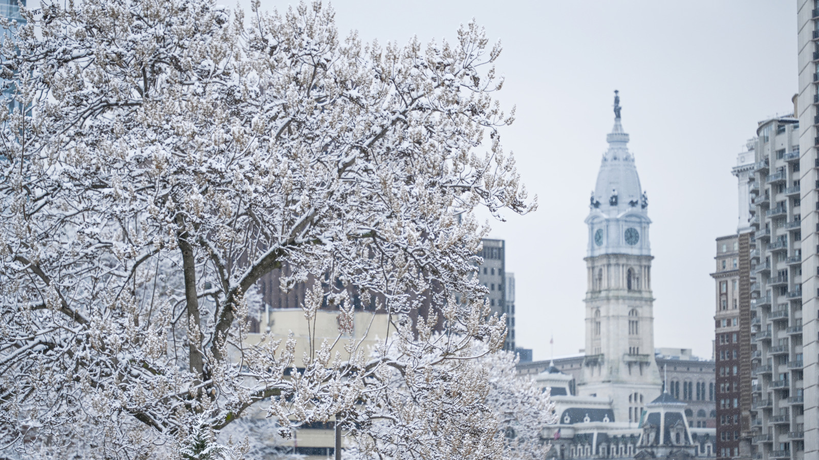 How I Enjoy Philadelphia After A Winter Snowstorm, According To A Local