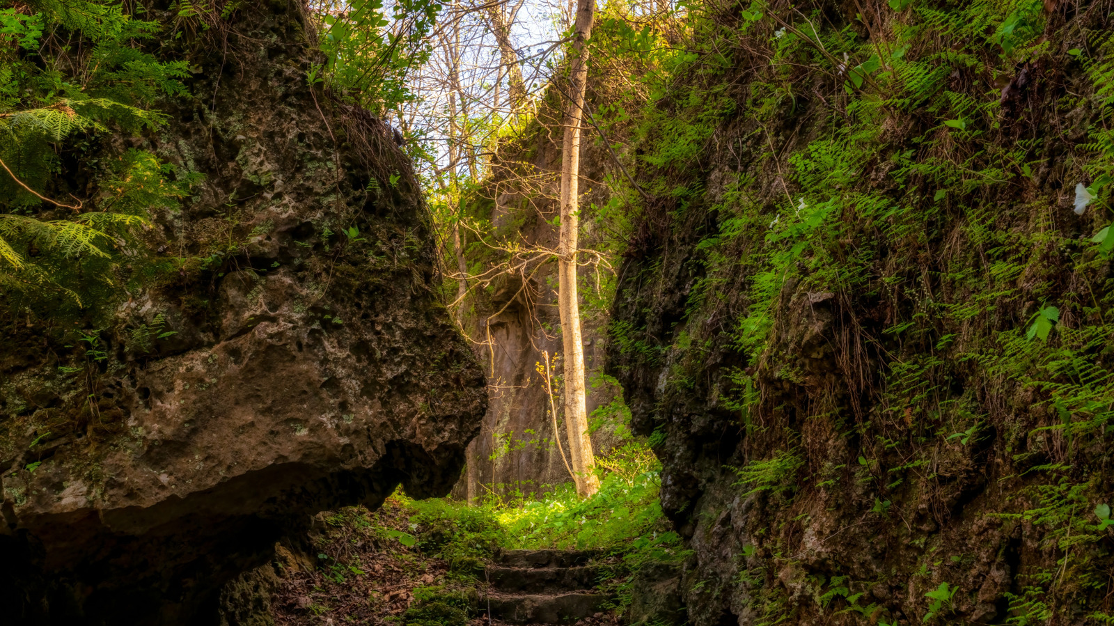 Between Columbus And Lexington Is Ohio's Underrated Preserve With ...