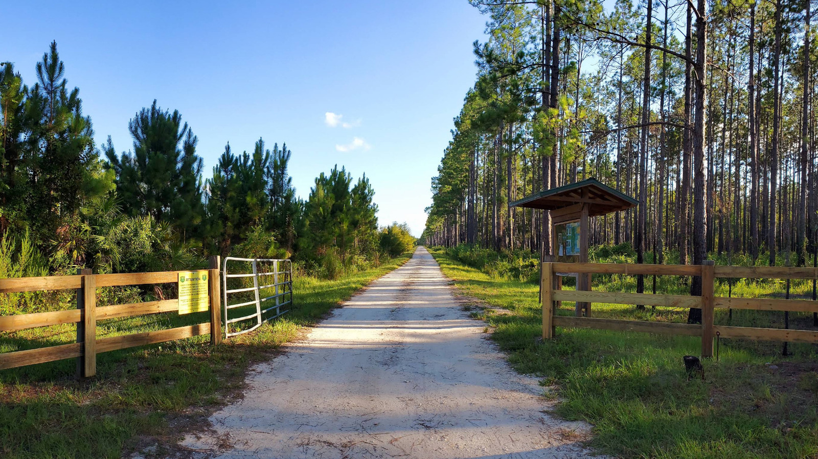 Between Jacksonville And Gainesville Is Florida's Charming State Forest ...