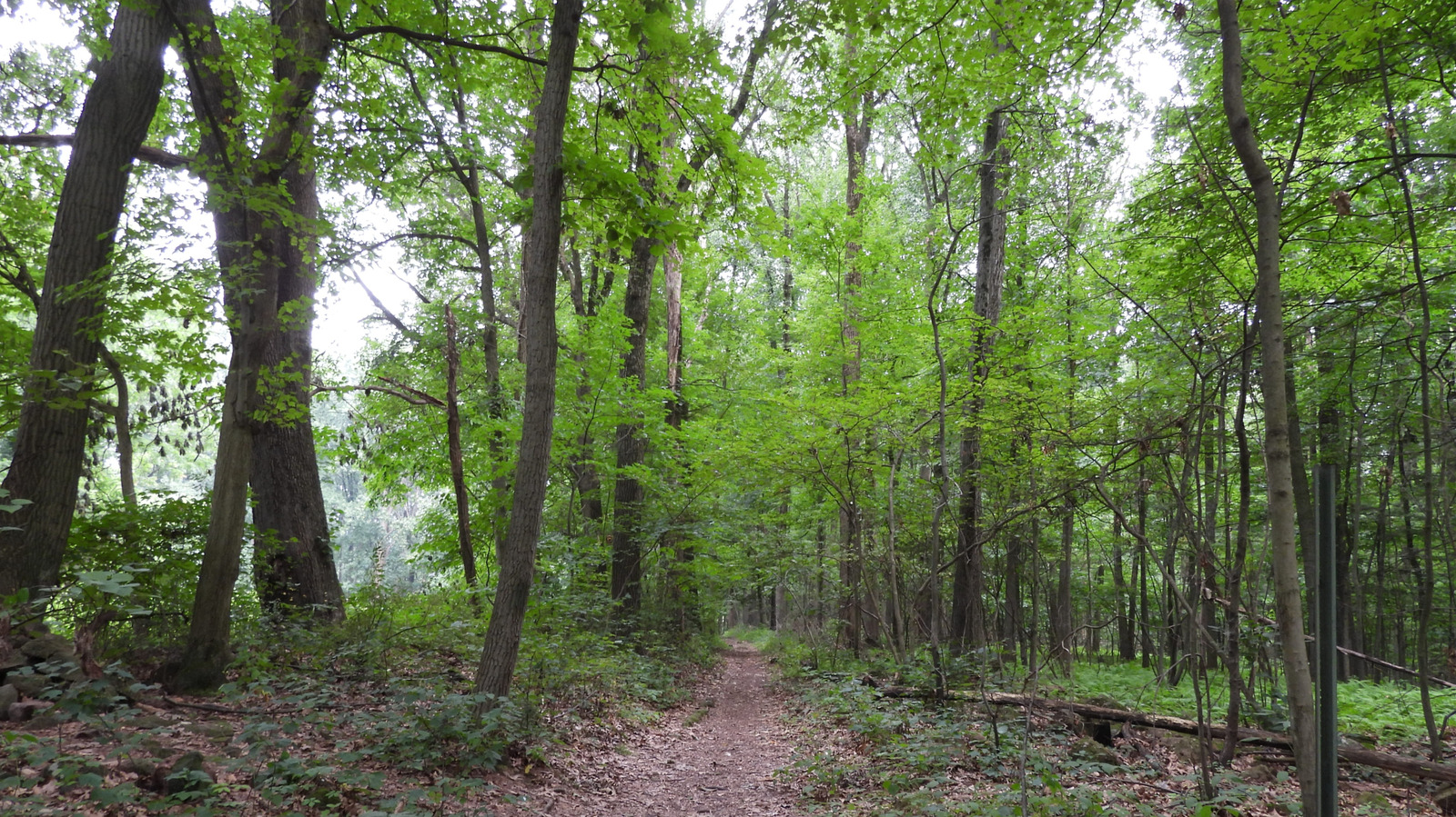 Between Philadelphia And Hershey Is Pennsylvania's Wildly Underrated ...