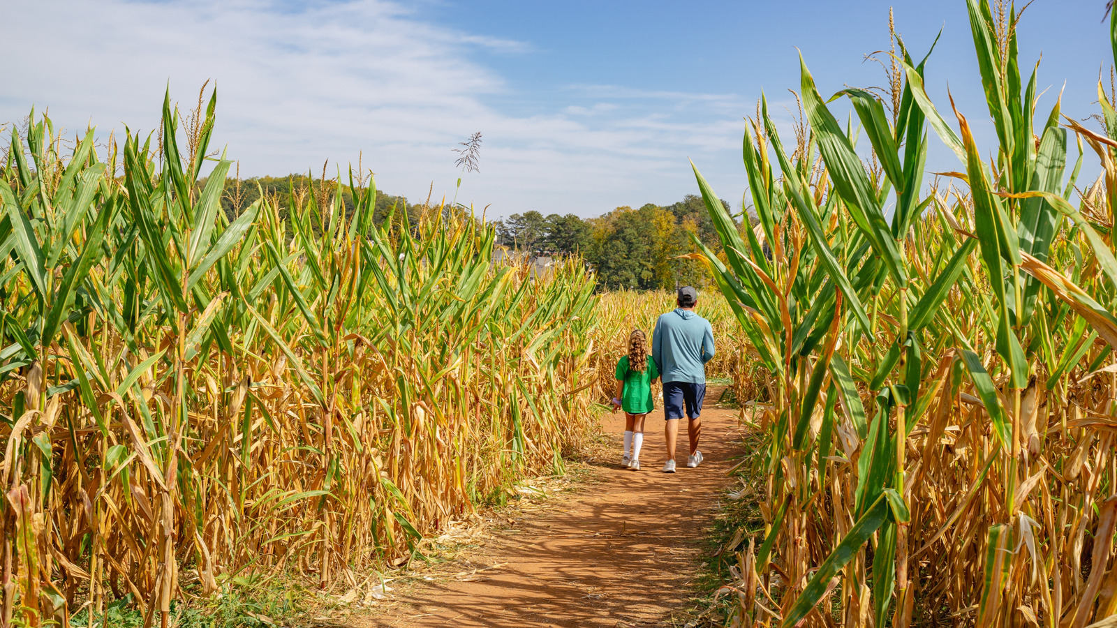 Between Pittsburgh And Cleveland Is Ohio's Perfect Stop For Fall Fun ...