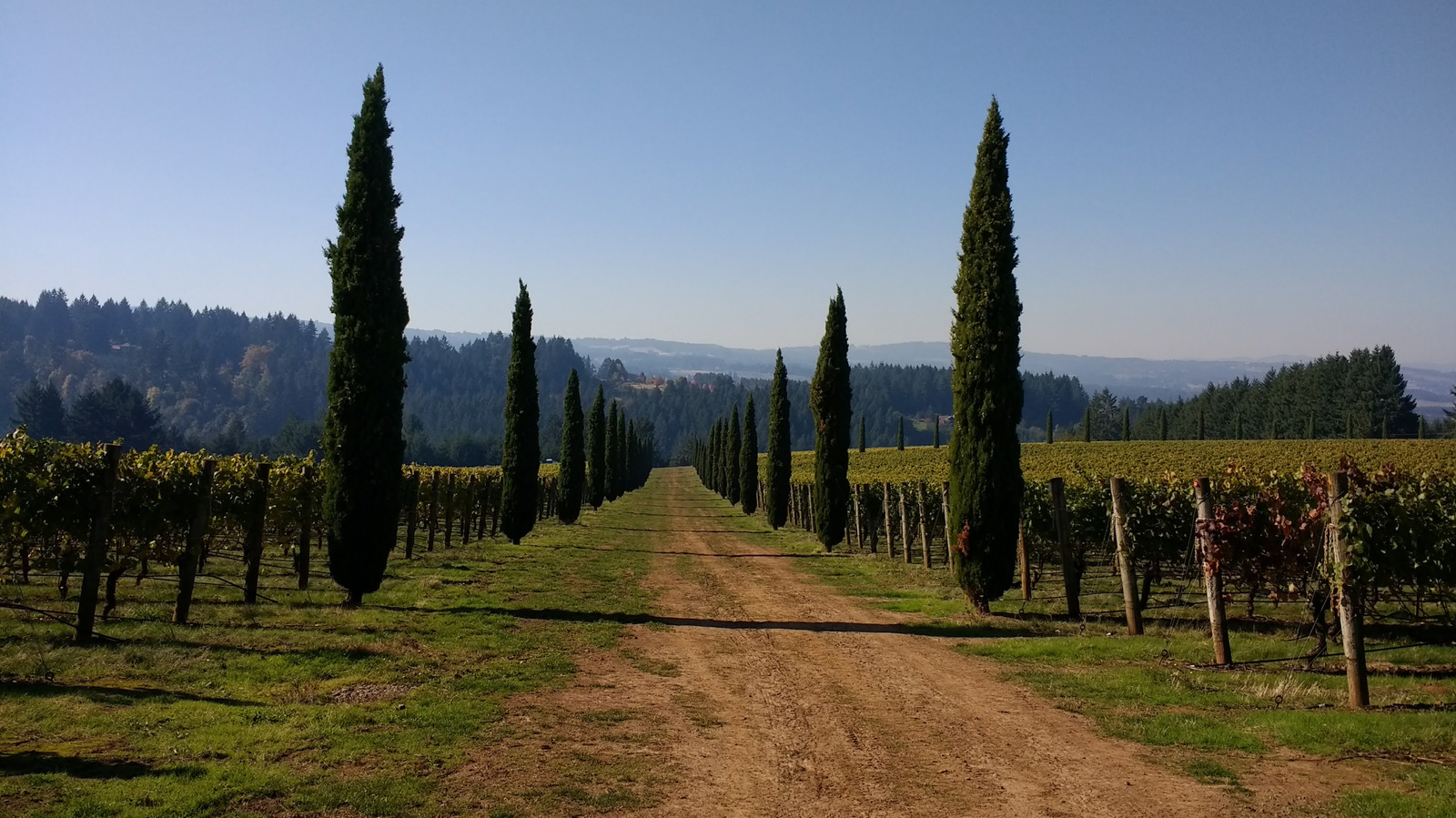 Between Portland And The Oregon Coast Is An Emerald Valley With ...