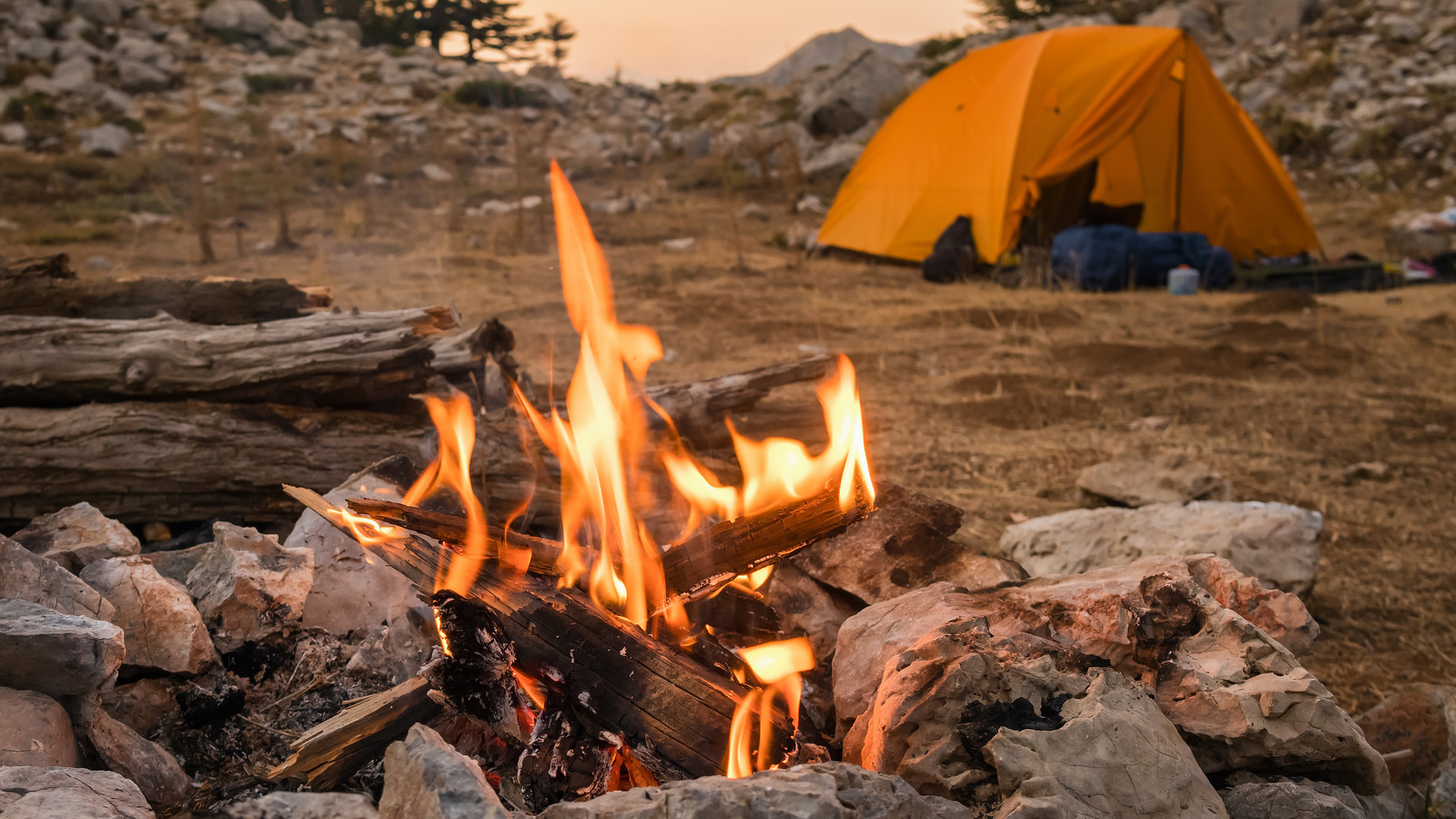 Burn These Herbs To Deter Bugs From Your Campsite