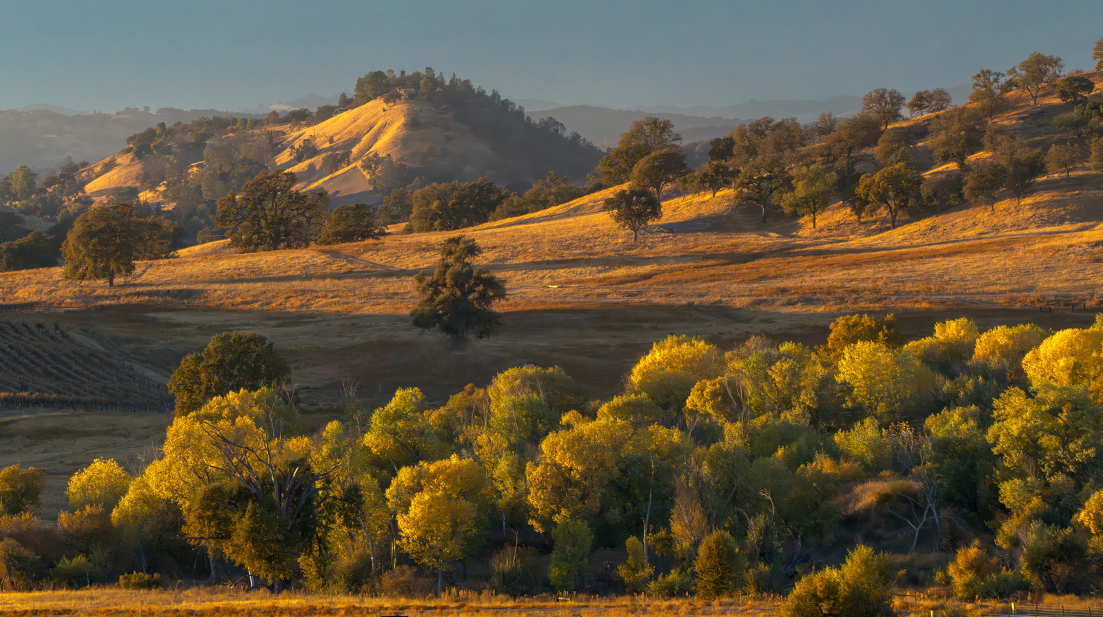 California's Best-Kept Secret County Is A Gorgeous Locale With Vibrant ...