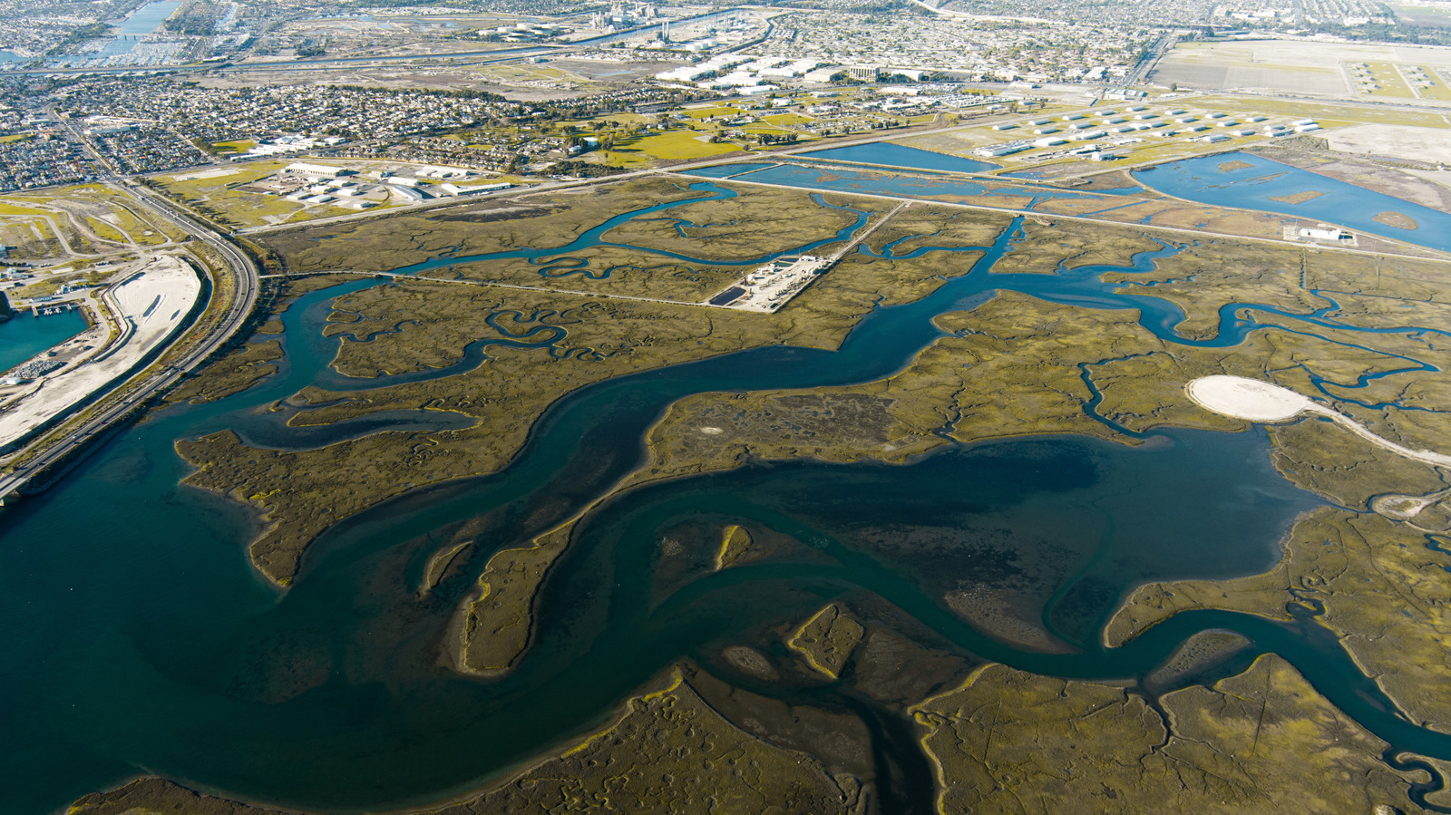 California's Coastal Wildlife Refuge Near Los Angeles Is An Underrated ...