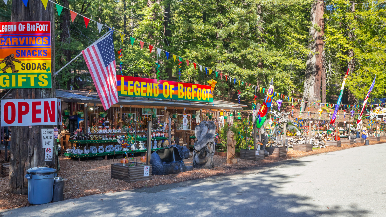 California's Funky Little Artsy Town Is A Charming Getaway Surrounded ...