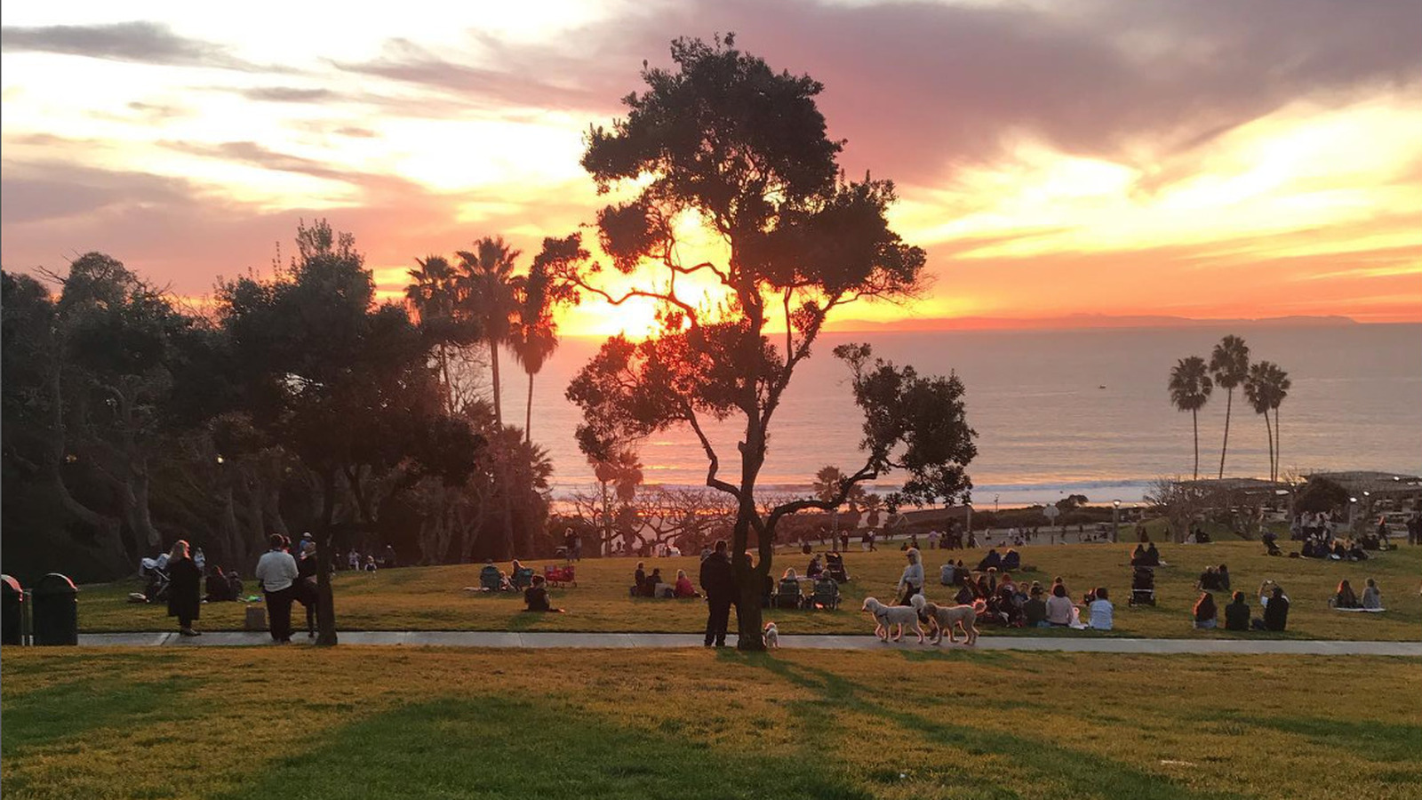 California's Hidden Surfing Haven Is An Orange County Stretch Of Ocean ...