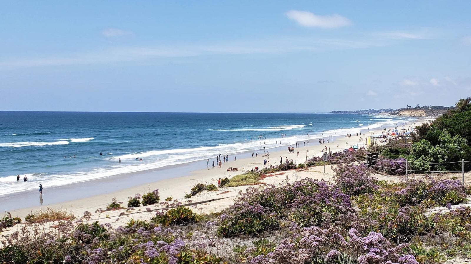 California's New Law For Del Mar Beachgoers Comes With Up To $1,000 ...