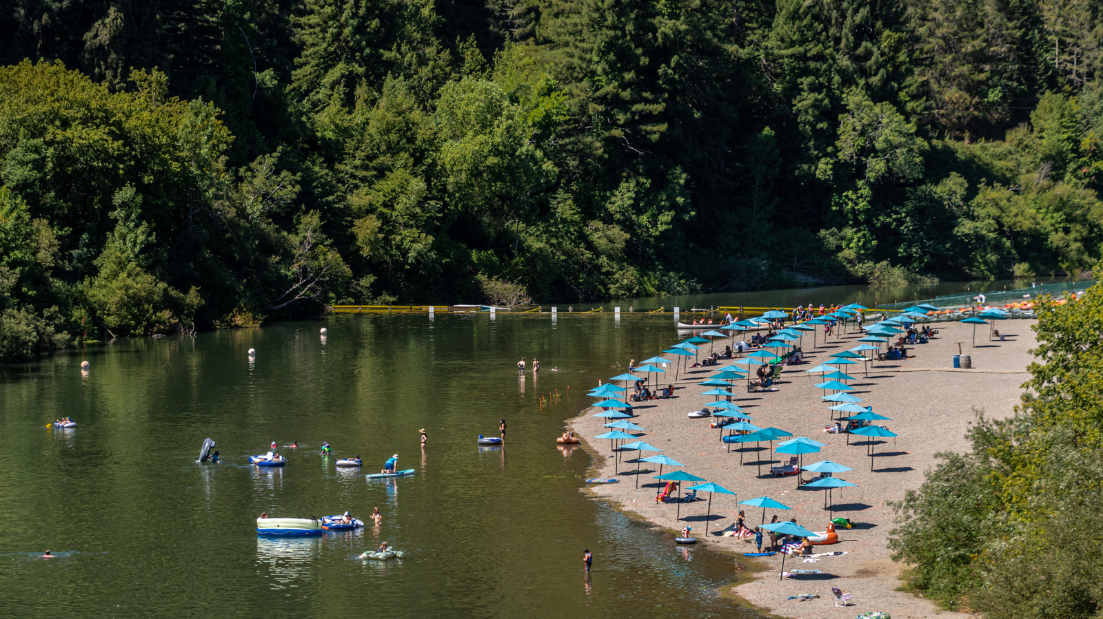 California's Sonoma County Hides This Summertime Haven Mixing Redwoods ...