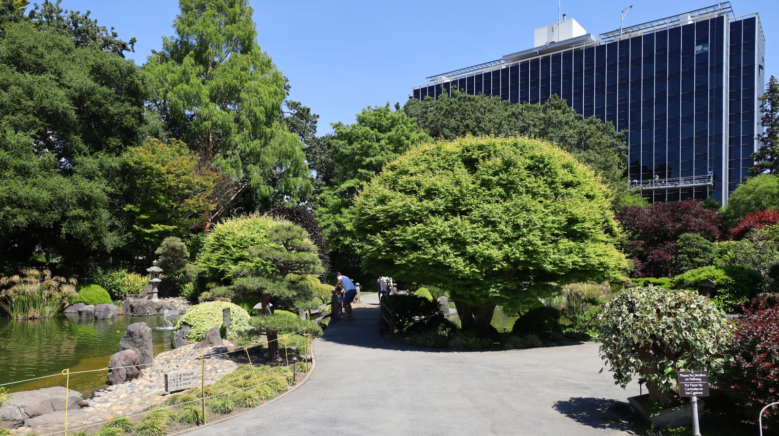 California's Walkable San Francisco Suburb Has A Charming Downtown And Striking Parks
