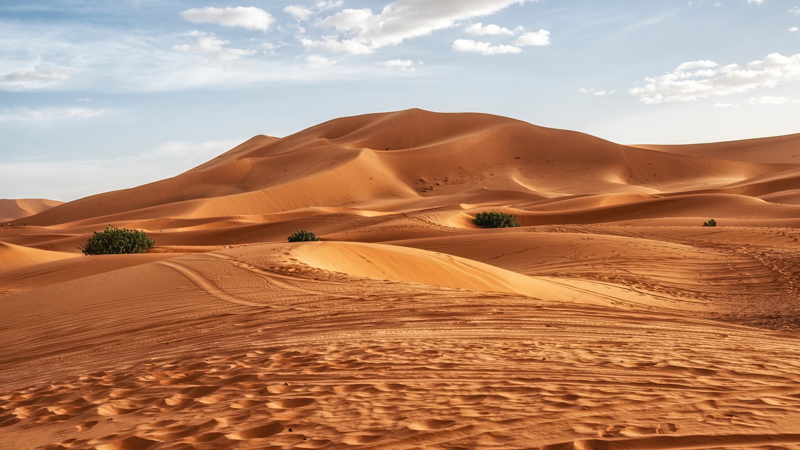 Camp In Luxury And Explore Morocco's Largest Sand Dunes In This ...